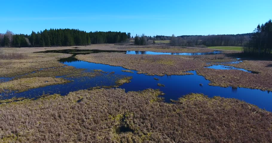 Panoramic Swamp landscape with sky and clouds image - Free stock photo ...