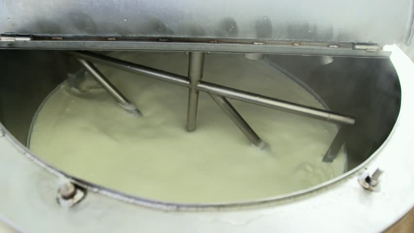 Cheese Factory and cheese products image - Free stock photo - Public ...