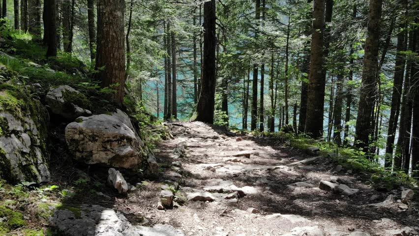 Trail through the woods and lake image - Free stock photo - Public ...