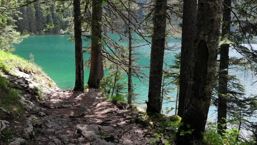 Trail through the woods and lake image - Free stock photo - Public ...