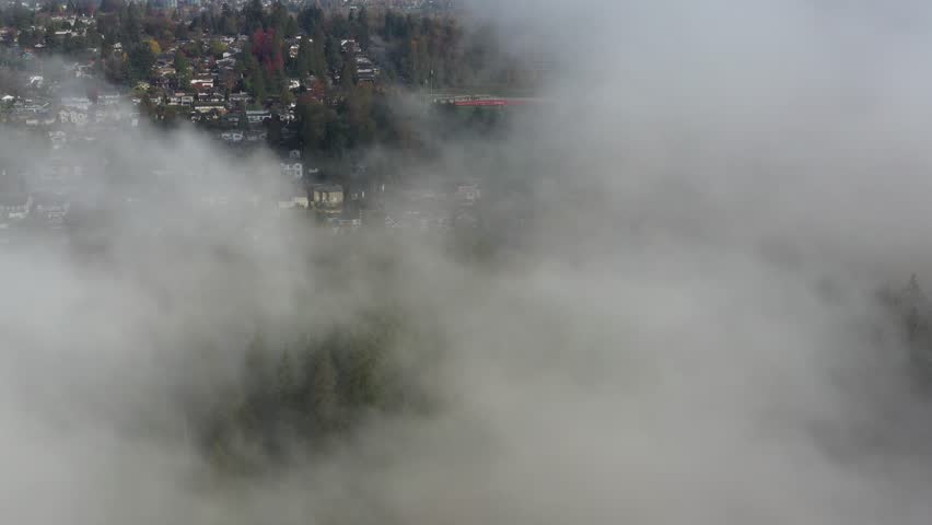 Fog over the trees in the forest in Vancouver, British Columbia, Canada ...