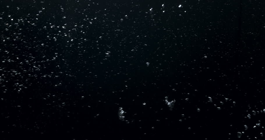 Deep Sea Marine Snow Stock Video Footage - 4K and HD Video Clips ...