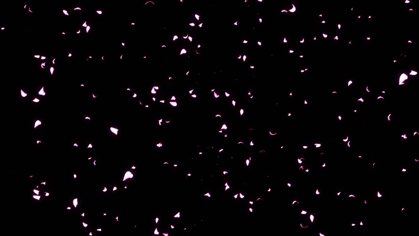Flying Cherry Blossom Particles Stock Footage Video (100% Royalty-free ...