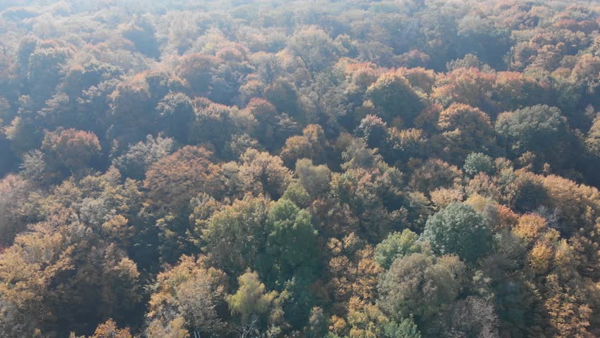 Overlook with Autumn trees and leaves image - Free stock photo - Public ...