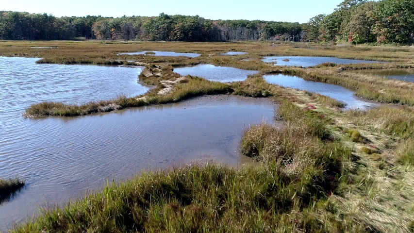 Marsh Landscape with water pools image - Free stock photo - Public ...