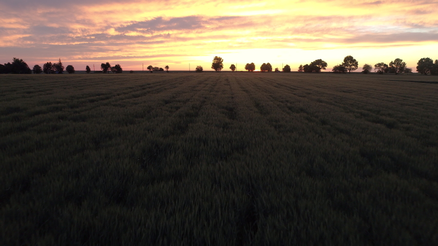 Sunset over the Horizon on the farmland image - Free stock photo ...
