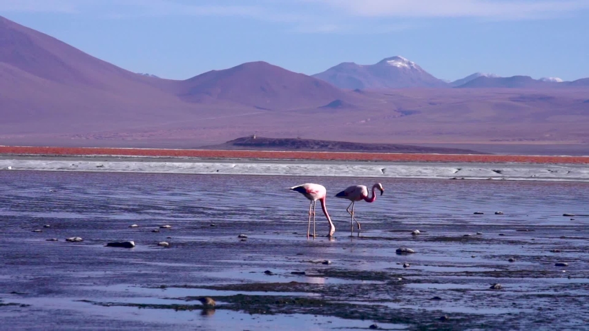 Red Mountain with Water and landscape, Chile image - Free stock photo ...