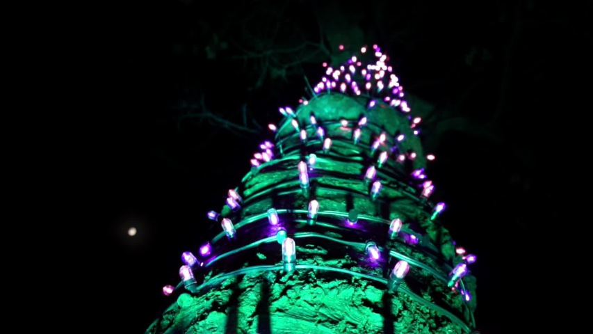 Neon Christmas Tree and Lights and Decorations image - Free stock photo ...