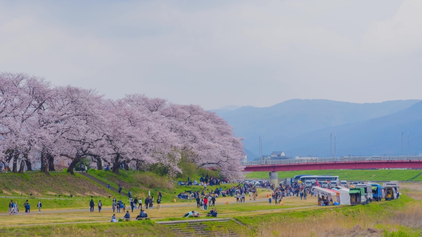 Spring blossoms at temple in Osaka, Japan image - Free stock photo ...