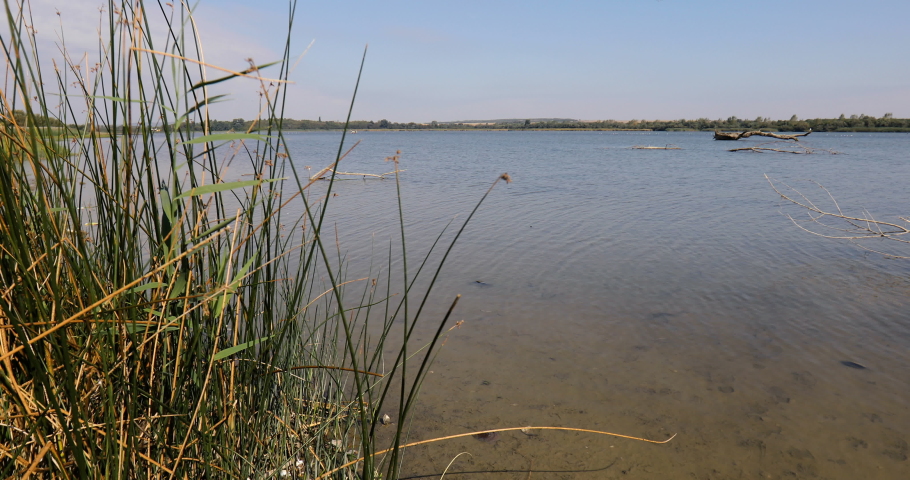 Lake, Swamp, and Wetlands landscape image - Free stock photo - Public ...