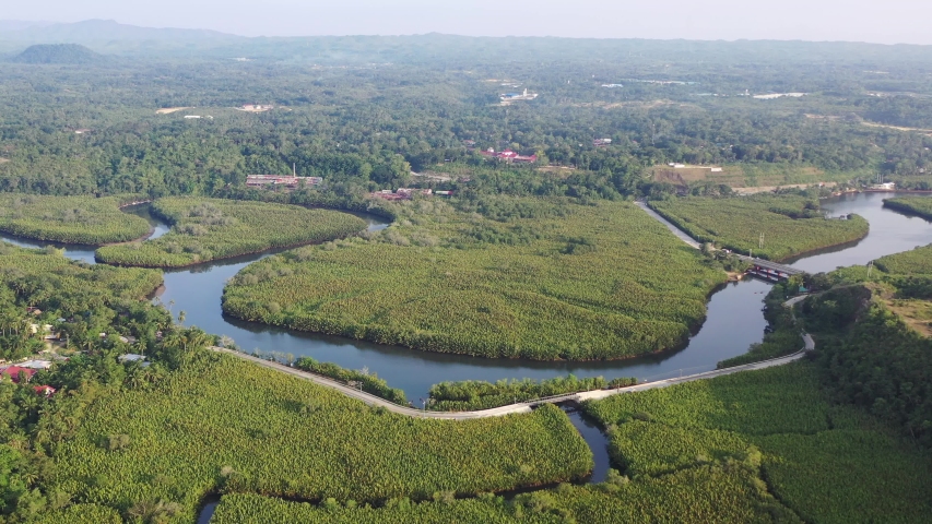 Landscape of the Mangrove Swamp image - Free stock photo - Public ...