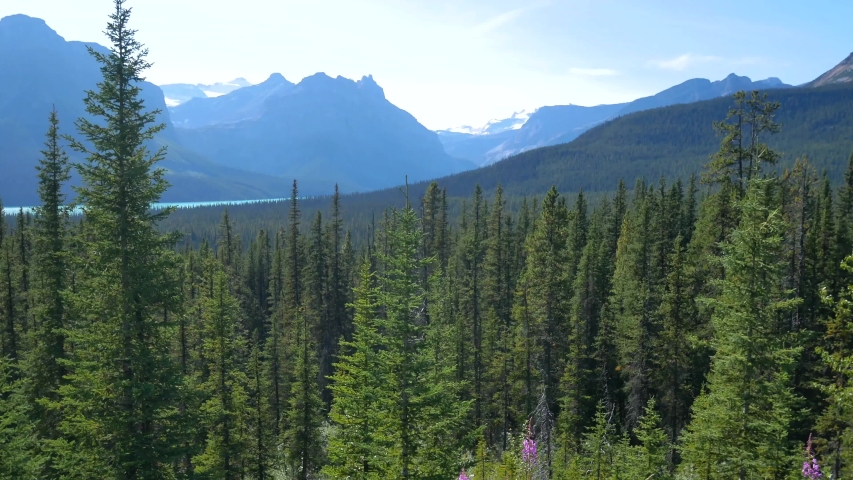 Mountain Landscape with trees in Banff National Park, Alberta, Canada ...