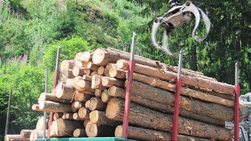 Timber Industry, Moving Timber to Stock Footage Video (100% Royalty ...
