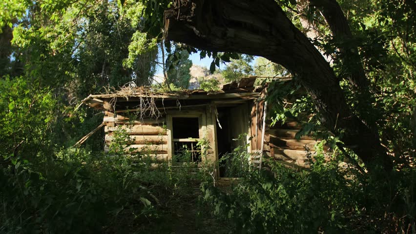 Abandoned Log Cabin In A Field Of Green, Ca.2015 Remote BC Canada Stock ...