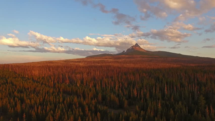 Aerial Video of Mt Washington Stock Footage Video (100% Royalty-free ...