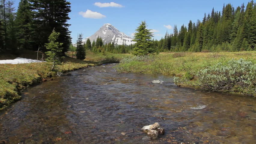 Mountain Stream In The Canadian Rockies Stock Footage Video 1265677 ...