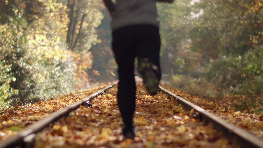 Fall Railroad Tracks and leaves in the forest image - Free stock photo ...