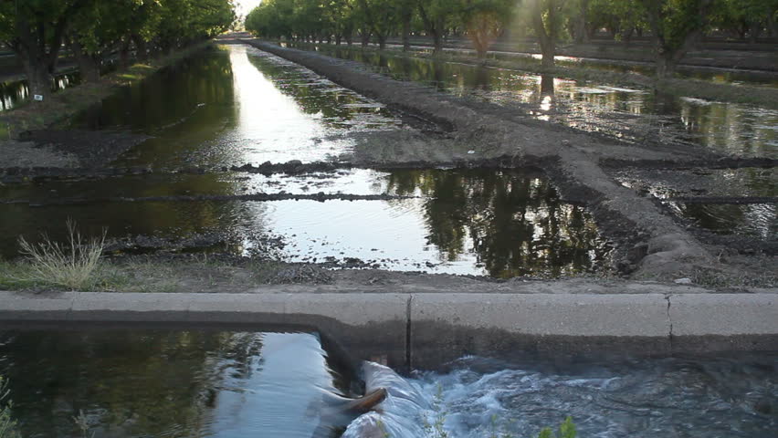 Water Flows from Channel Through Stock Footage Video (100% Royalty-free ...