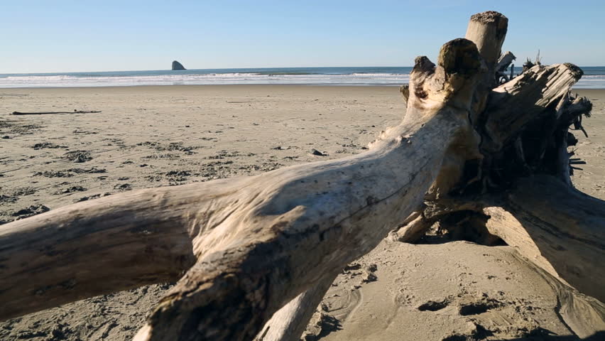 Oregon Coast Surf Fishing, Pyramid Rock. Surf Fishing On The Oregon ...