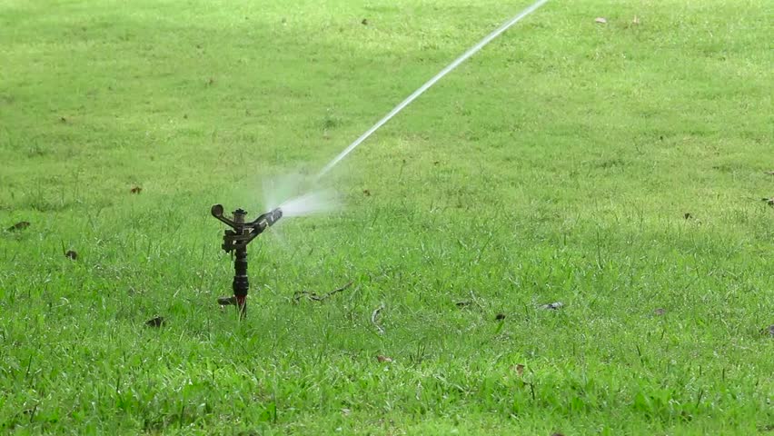 Стоковое видео «Sprinker» (абсолютно без лицензионных платежей ...