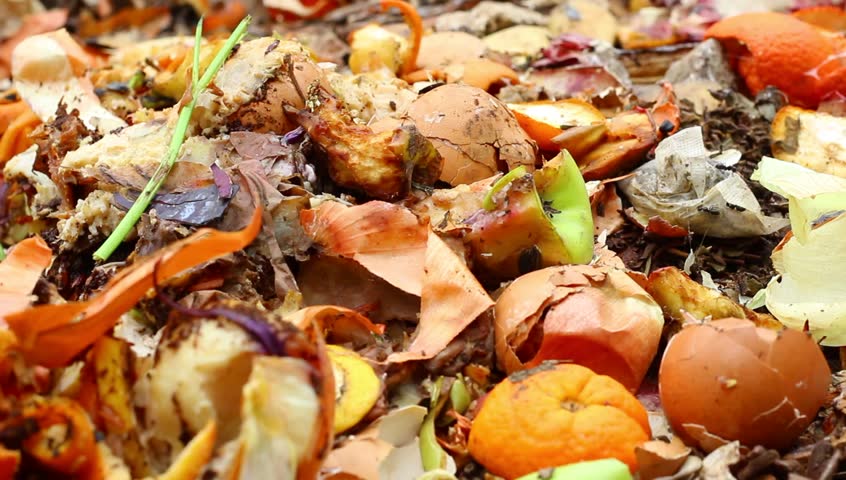 Food Waste. Composting Food Scraps Stock Footage Video (100% Royalty ...