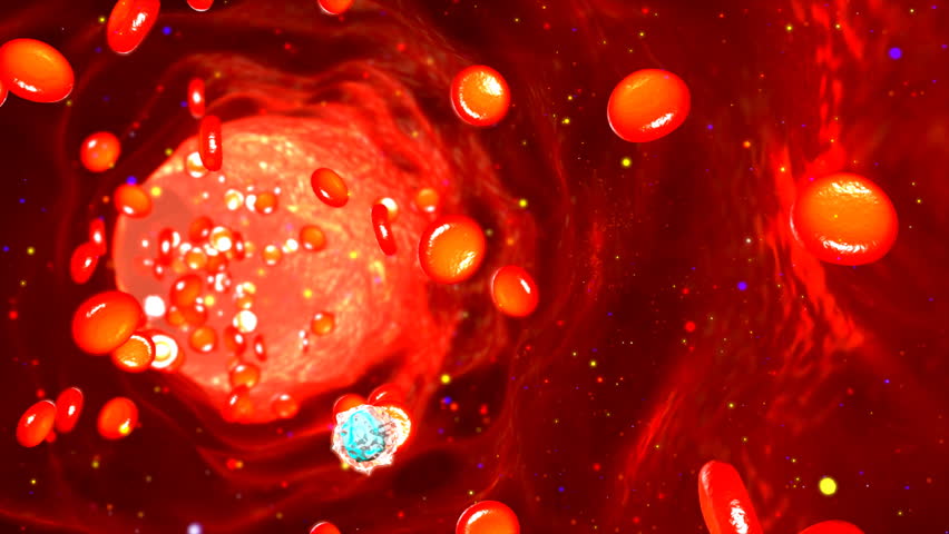 Blood Flow Stock Footage Video (100% Royalty-free) 15138667 | Shutterstock