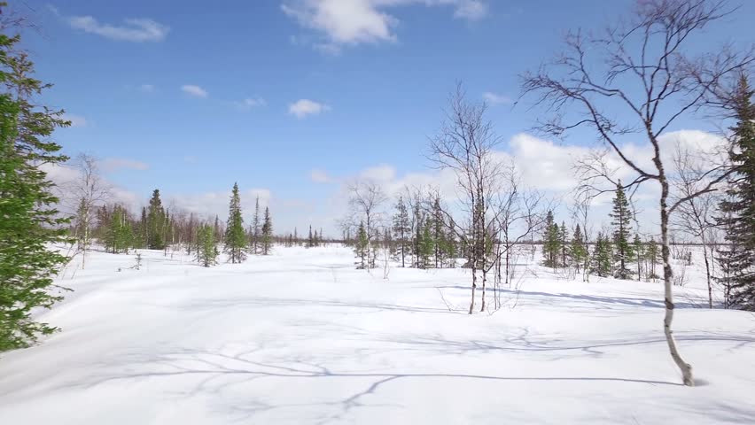 Snowy Land With A Tree On The Right Stock Footage Video 8985052 ...