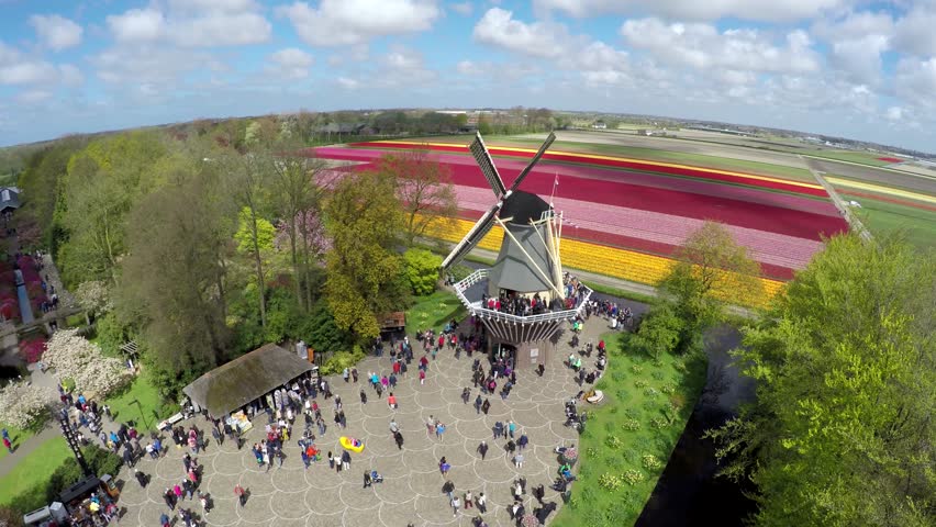 Keukenhof Stock Footage Video | Shutterstock