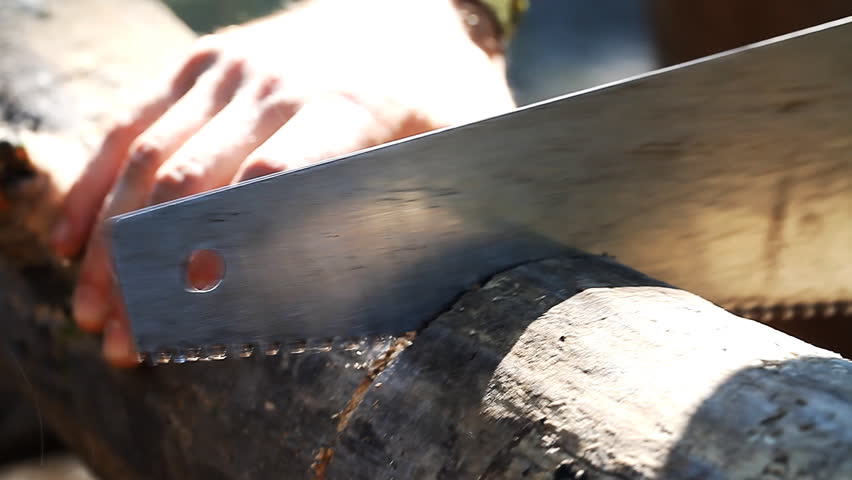 Man Sawing a Log Handsaw Stock Footage Video (100% Royalty-free) 16754647 | Shutterstock