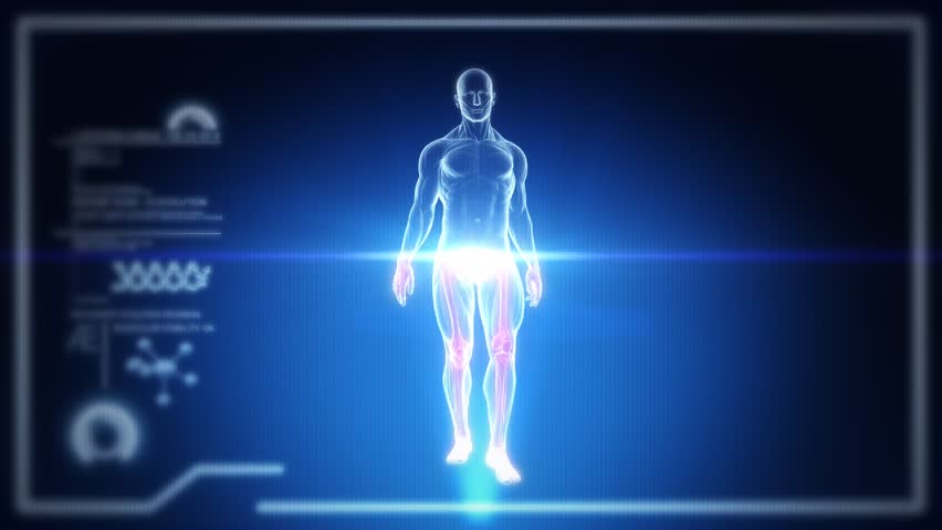 3D Animation Of Human Body Anatomical Scan On Digital Screen Loop Stock ...