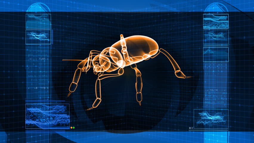 Insect Bug X-Ray Scan Technology Stock Footage Video 1752905 | Shutterstock