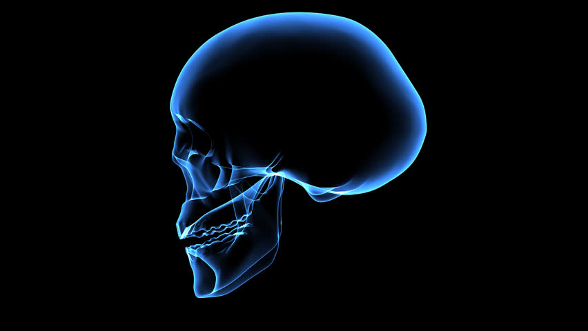 3d Animated Human Skull Stock Footage Video (100% Royalty-free) 184597 ...