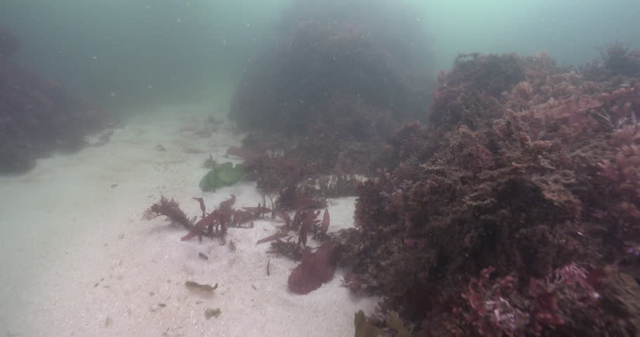 Aerial Shot Of Destructed Ground And Rocks After Mining Explosion Stock ...