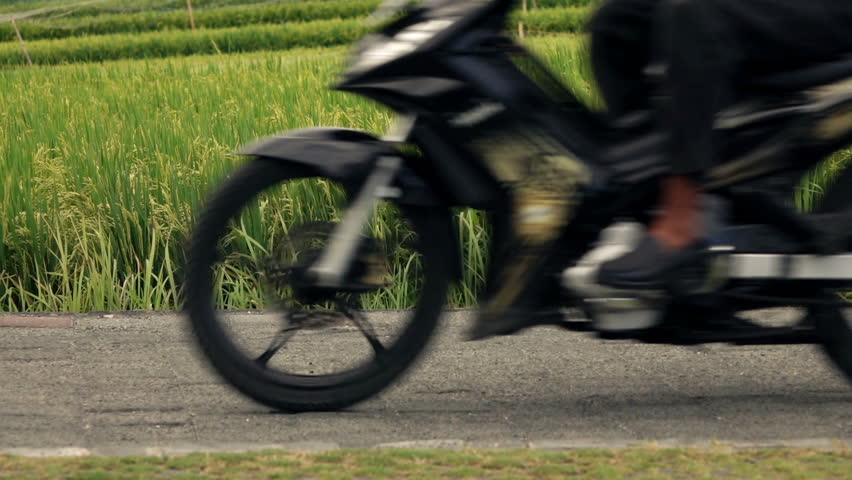 Motorbike Riding Through Rice Field Stockbeeldmateriaal en -video's ...