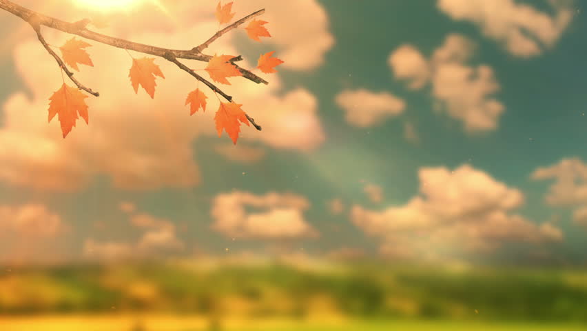 Abstract Tree Shaken By Wind. Lots Of Falling Leaves On White ...