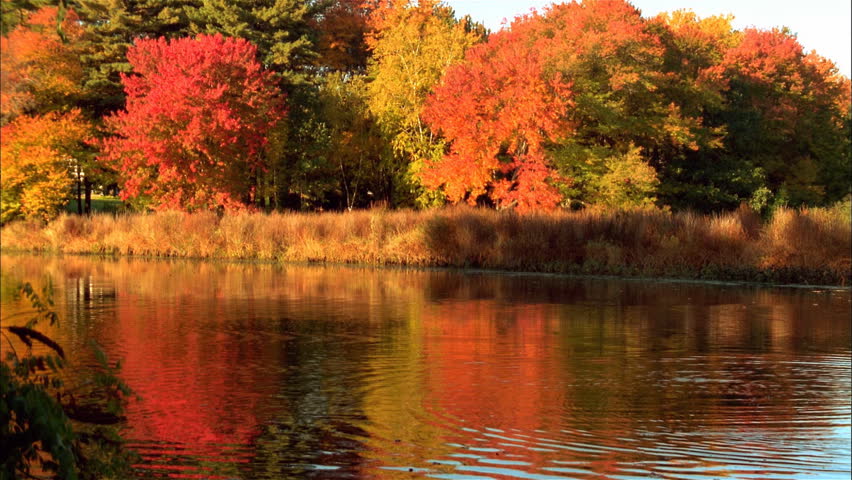 Beautiful Landscape View With Colorful Autumn Forest From Boat On The
