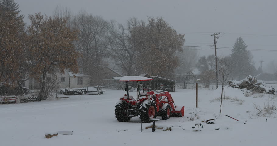 Snow Storm Blizzard Rural Farm Tree Close. First Winter Storm And ...