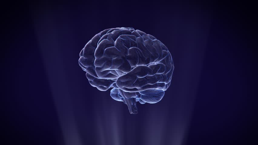 Rotating Brain And DNA String Seamless Loop Motion Background Stock ...