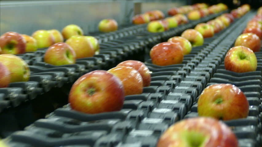 Apple Grading Machine, Apples Sorted Stock Footage Video (100% Royalty ...
