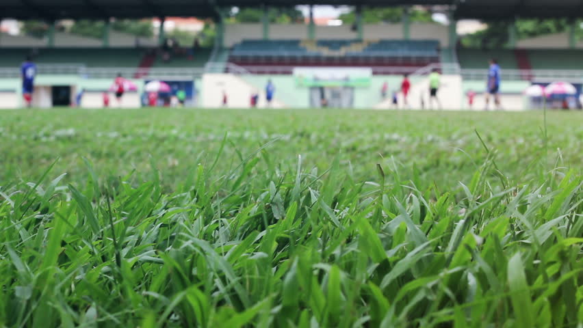 Low Angle Shooting On Grass Stock Footage Video (100% Royalty-free ...