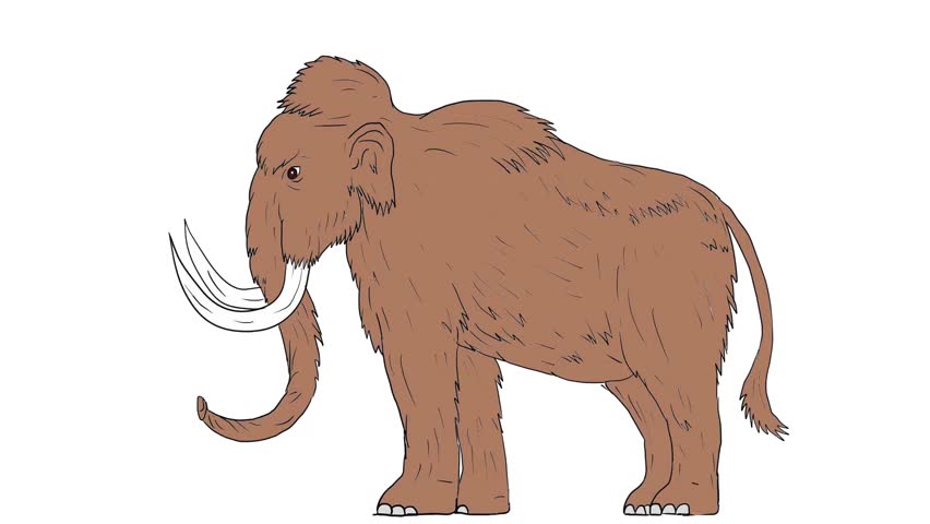 Mammoth Meaning