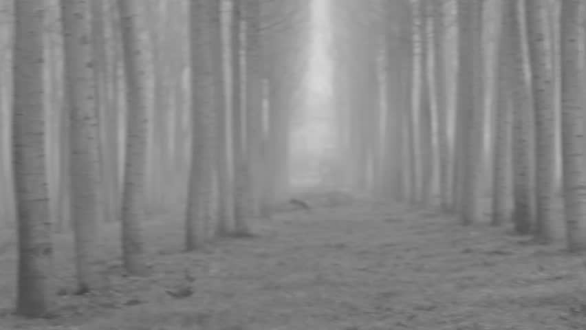 Mysterious Creepy Figure Hiding Behind A Tree Stock Footage Video ...
