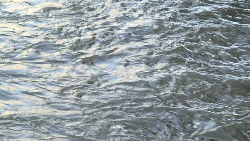 Ungraded: Water Ripple / Polluted Water / Polluted River. Ripples On ...