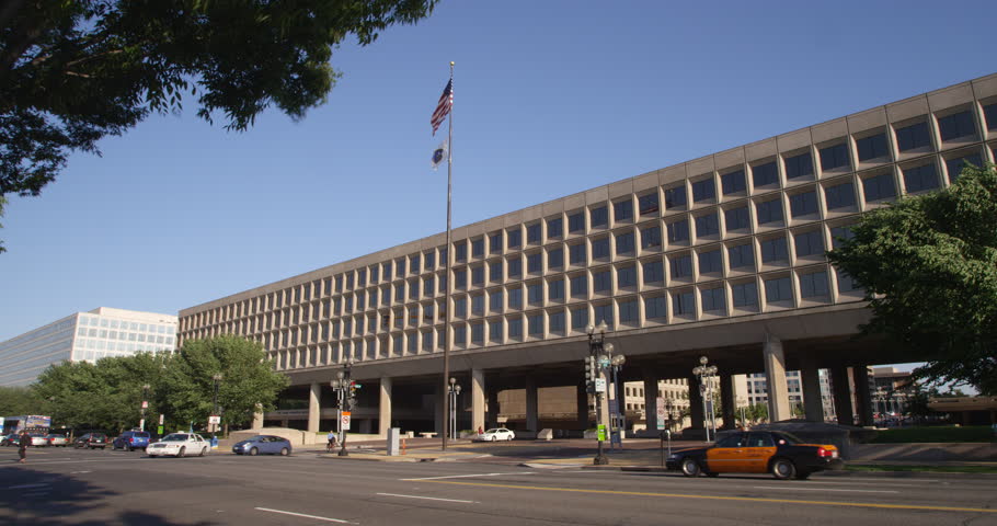 Forrest Stock Footage Video | Shutterstock