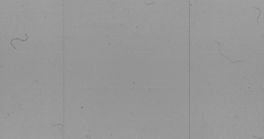 Grey Realistic Flickering, Analog Vintage Stock Footage Video (100% ...