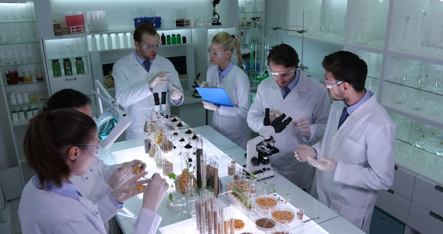 Researchers Team Work Biological Research Genetic Engineering Seeds ...