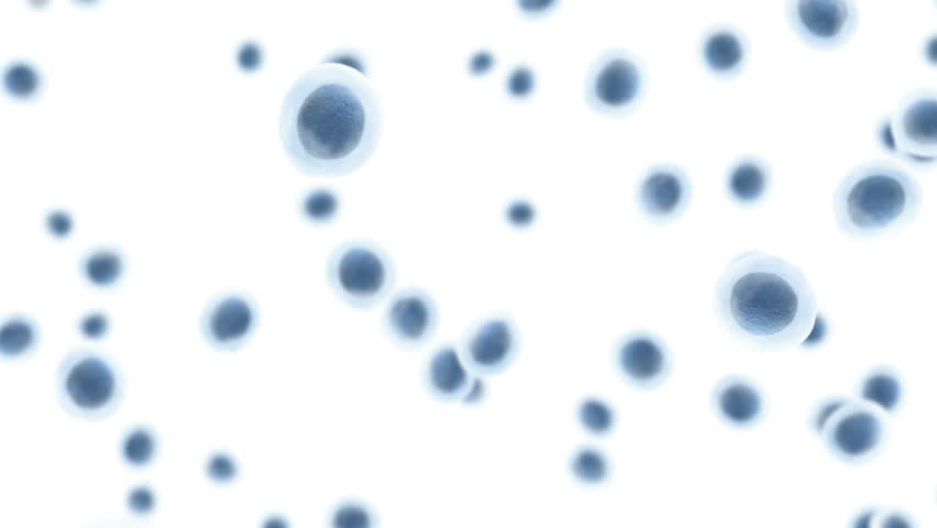 Animation ,Cell Blue, Human Cell, Animal Cell. 3D Rendering Stock ...