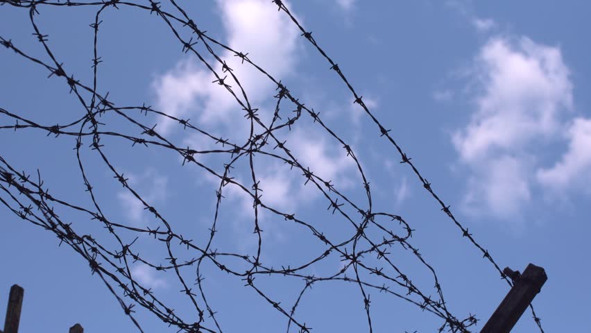 Ungraded: Overhead Wires / Trolley Poles / Electric Transport. Trolley ...