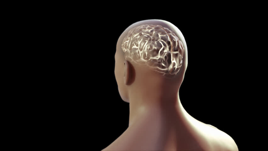 คลิปวิดีโอสต็อกของ Rotational view of semi transparent human man ...
