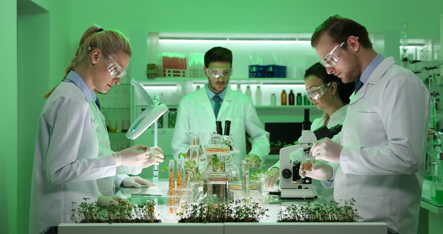Team Of Researchers In Biochemistry Lab Collaborate Work Plants Seeds ...